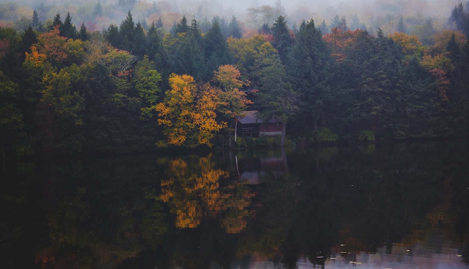 Best lenses to capture the fall colours