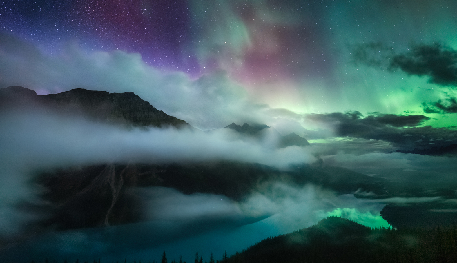Rachel Jones Ross: From Night to Day: The Versatility of Sony’s Alpha ...