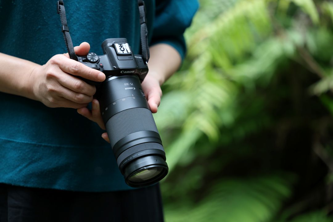 Check out the new Canon RF 75-300mm f/4-5.6 lens